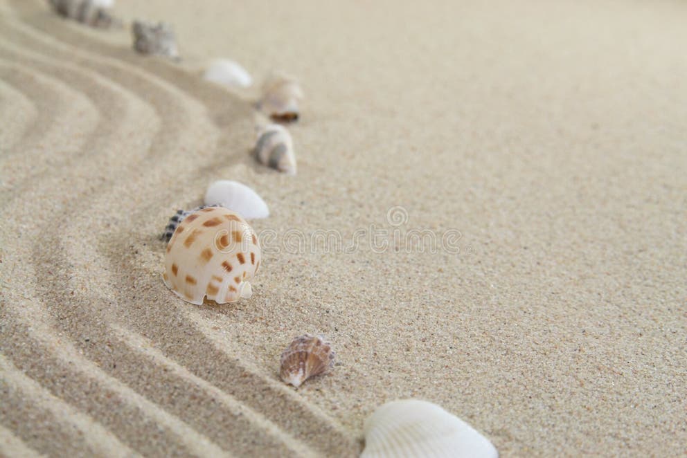 Sand and shells stock photo. Image of concept, modern - 41804104