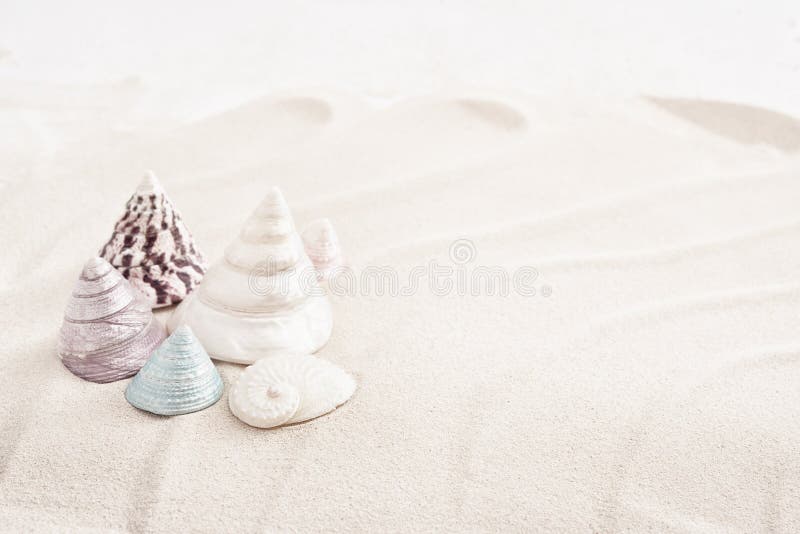 Sand with shells stock photo. Image of coast, seashell - 70802068