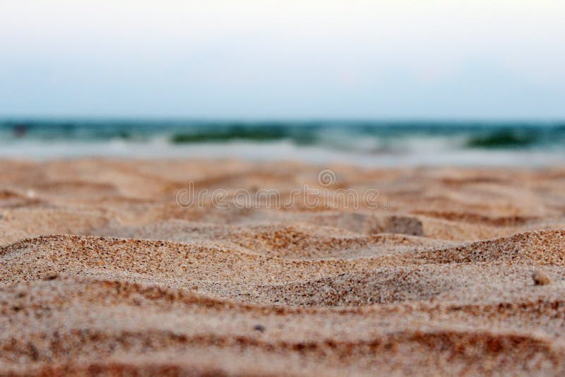 Sand on the Shore at the Beach. Stock Photo - Image of seagull, fauna ...