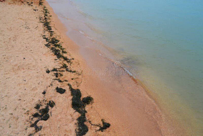 Sand on the Shore, Sandy Shore, Wave on the Sandy Shore, Relaxing on ...