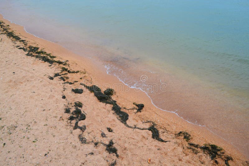 Sand on the Shore, Sandy Shore, Wave on the Sandy Shore, Relaxing on ...