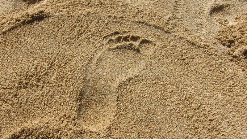 Sand stock image. Image of solo, shape, close, foot, background - 31018141