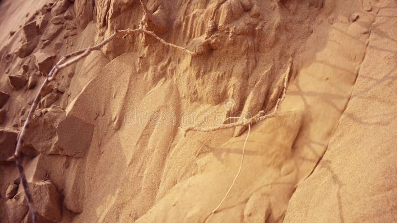Sand is Slowly Crumbling and Falling from Dune Some Dry Branches Inside ...
