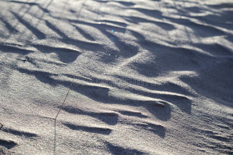 Sand Small Ridges Shadows Stock Photos - Free & Royalty-Free Stock ...