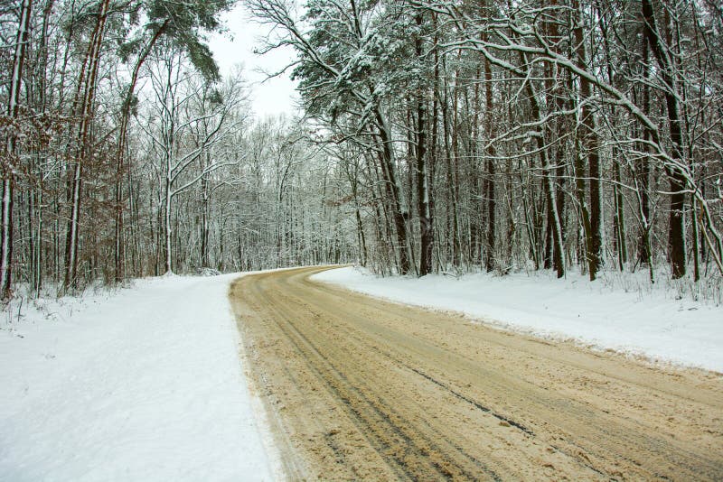 Sand with Snow on the Road through the Forest Stock Photo - Image of ...
