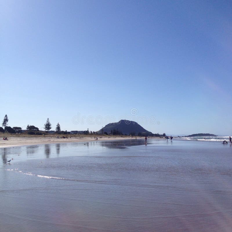 Sand soaked stock image. Image of summer, sand, beach - 68508667