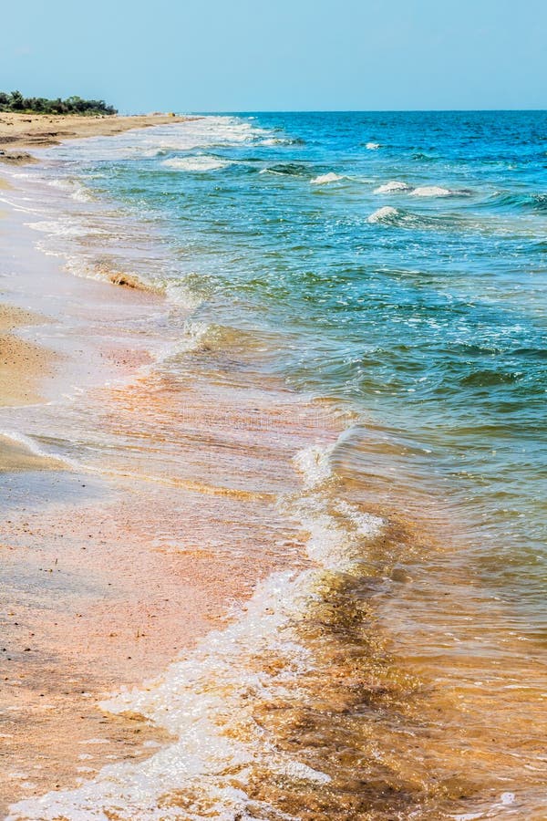 Sand Spit on the Sea on a Summer Day Stock Photo - Image of holidays ...
