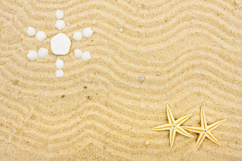 Sand and Sun stock photo. Image of shell, shape, south - 12924134