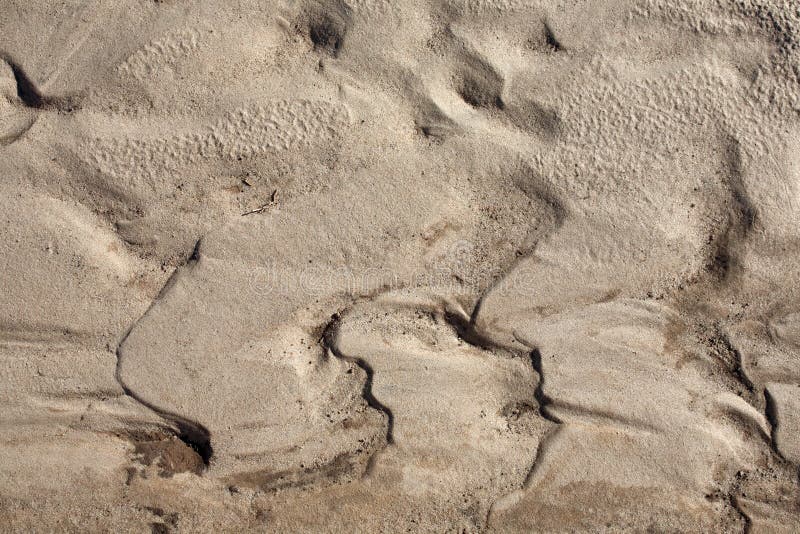 Sand surface stock photo. Image of closeup, sandy, textured - 16788120
