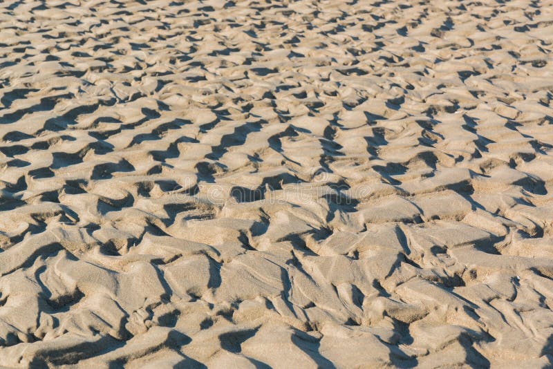 Sand surface on the beach. stock photo. Image of ocean - 66971728