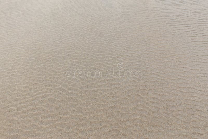 Sand surface on the beach stock photo. Image of ground - 148386670
