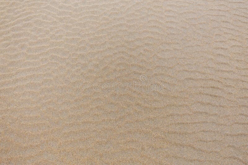 Sand surface on the beach stock photo. Image of desert - 148386674