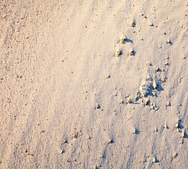 Sand surface stock image. Image of desert, beach, coast - 182726079