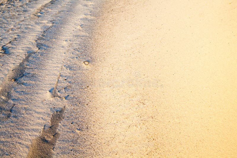 Sand surface stock photo. Image of desert, site, line - 183628010