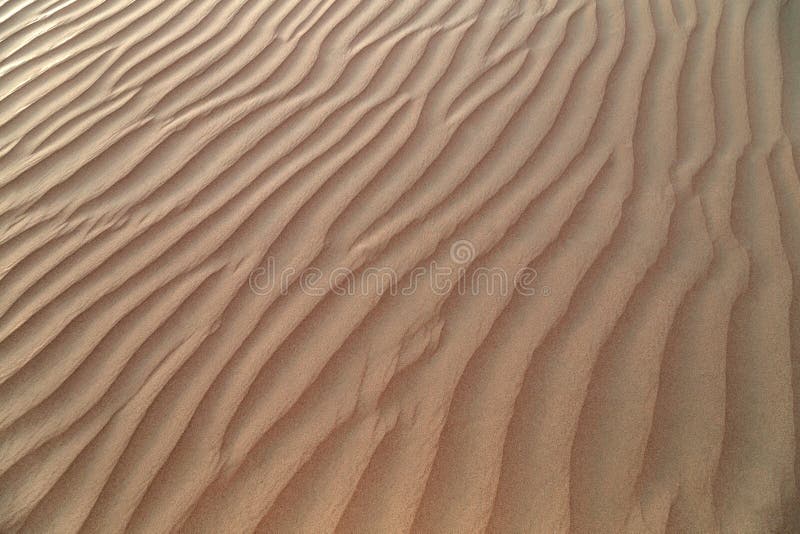 Sand surface texture stock photo. Image of detail, barren - 202075320