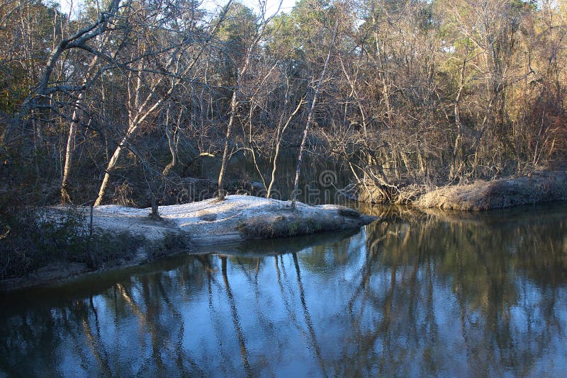 Sand Surrounds these Trees Reflected in the River Stock Image - Image ...