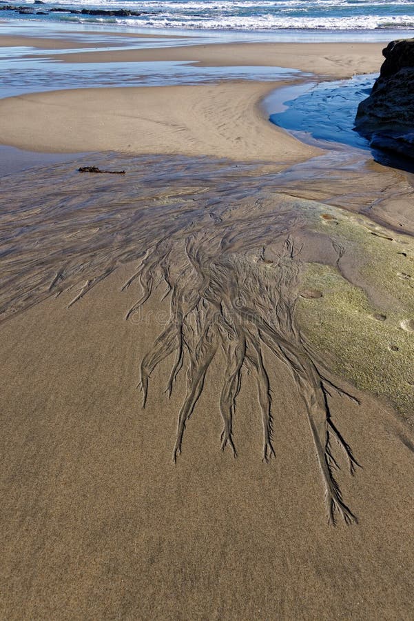 Sand Tendrils, Patterns in the Sand Stock Image - Image of back, brown ...