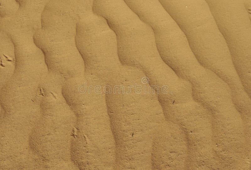 Sand texture stock photo. Image of merzouga, sahara, colors - 27037546