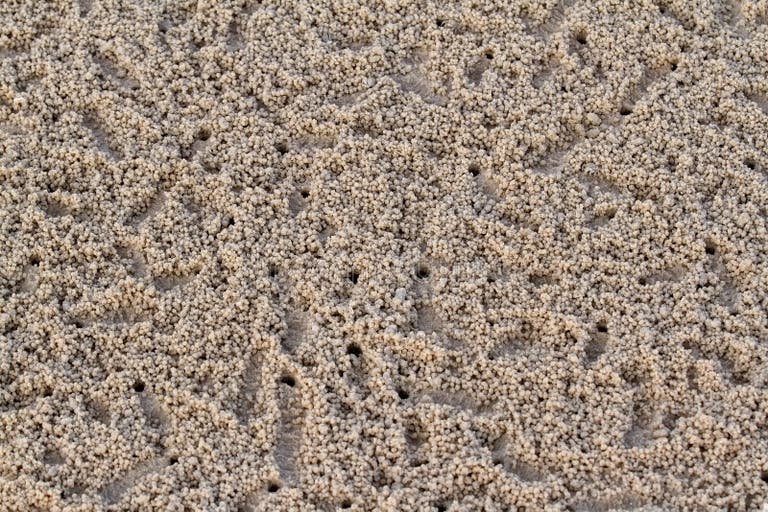 20,850 Cracked Sand Texture Stock Photos - Free & Royalty-Free Stock ...