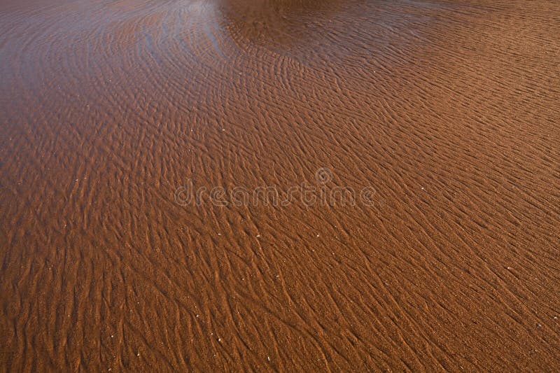 Sand texture stock photo. Image of line, texture, grass - 271712336