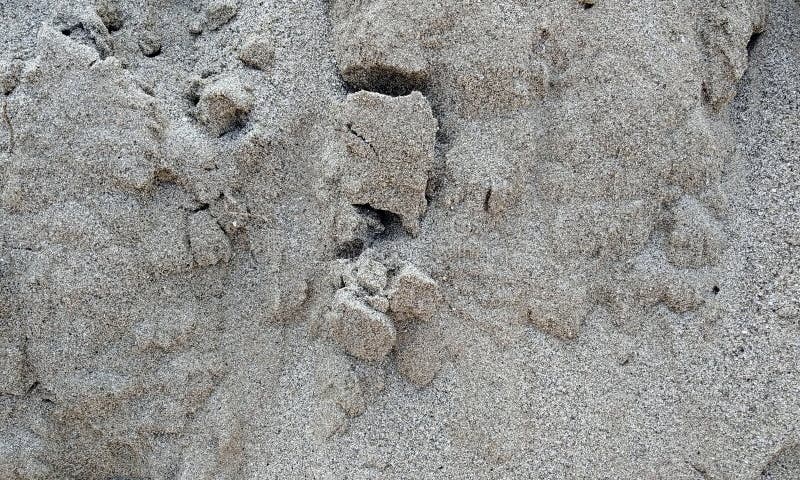 Sand Texture.Sand Background Texture.Sand Beach for Background and ...