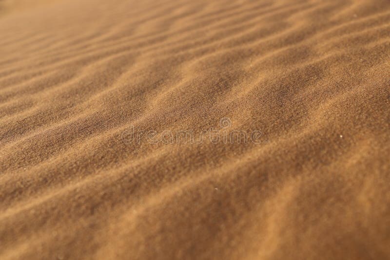 Beautiful Structures Formed by Hoarfrost Stock Image - Image of cristal ...
