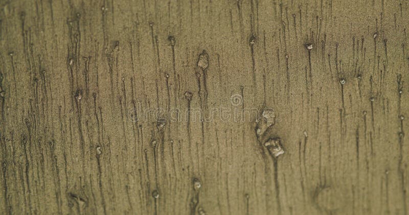 Sand Texture Background Grain Noise Martini Olive Stock Photo - Image ...