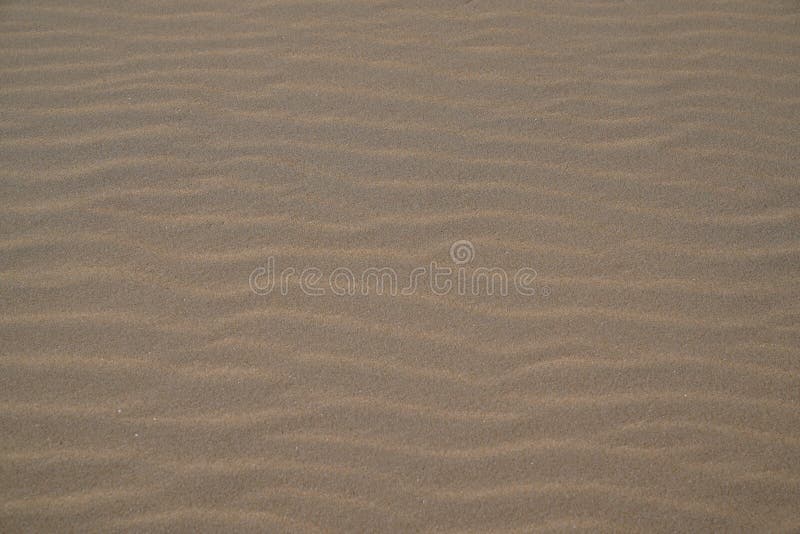 Sand Texture Background with Natural Sandy Line Water Wave in Low Tide ...