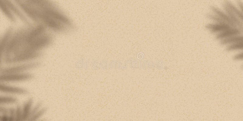 Sand Texture Background with Palm Leaves Silhouette,Coconut Leaf Shadow ...