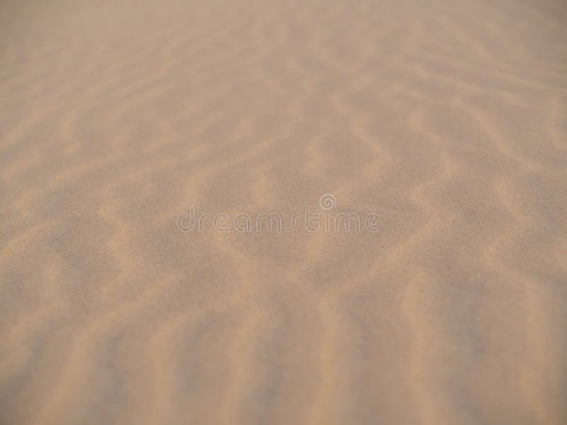 Sand Scape stock image. Image of coast, closeup, detailed - 116507523