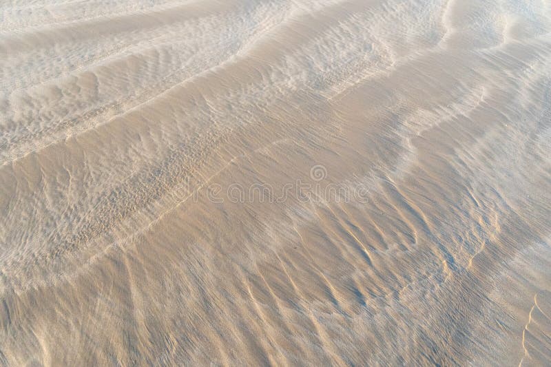 Sand Texture Background, Sandy Beach Pattern, Beige Ocean Dune ...
