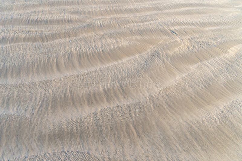 Sand Texture Background, Sandy Beach Pattern, Beige Ocean Dune ...