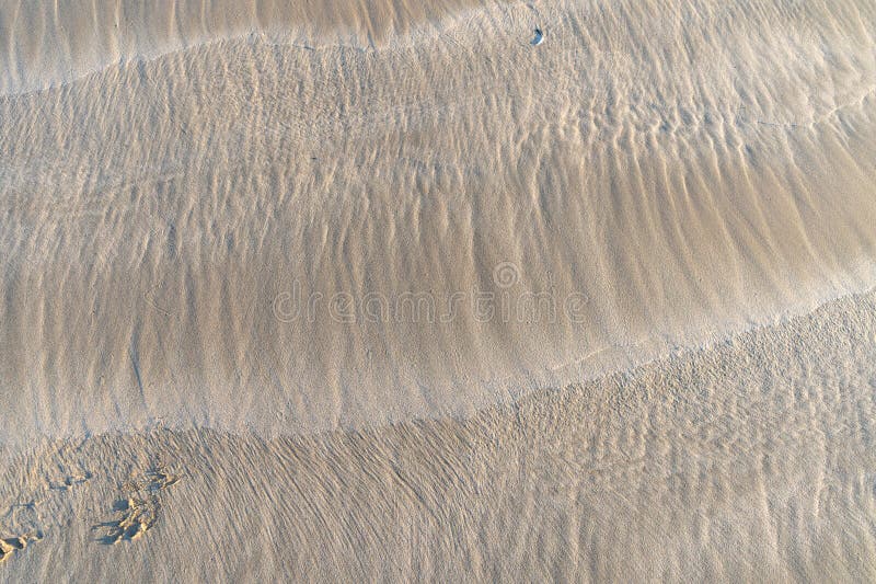 Sand Texture Background, Sandy Beach Pattern, Beige Ocean Dune ...