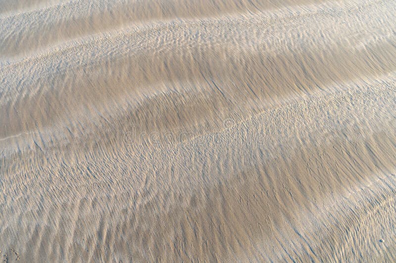 Sand Texture Background, Sandy Beach Pattern, Beige Ocean Dune ...