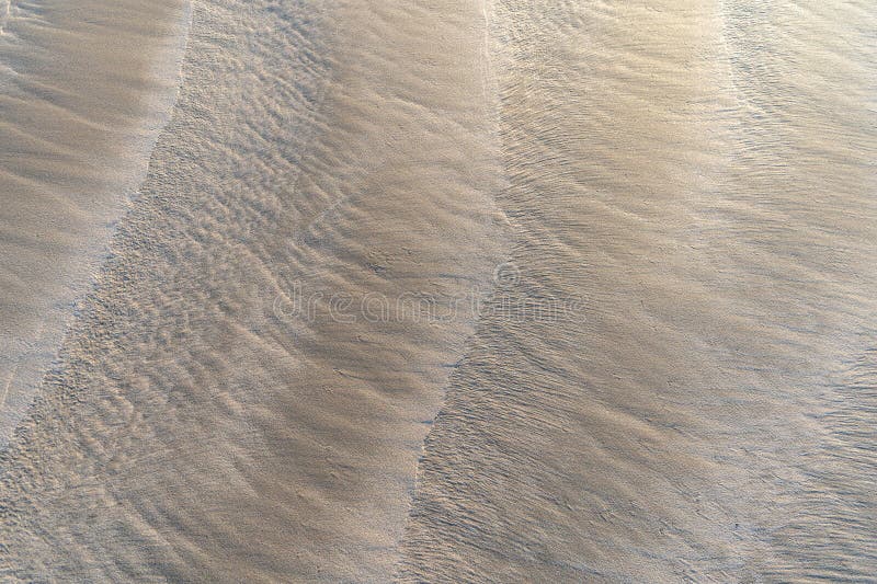 Sand Texture Background, Sandy Beach Pattern, Beige Ocean Dune ...