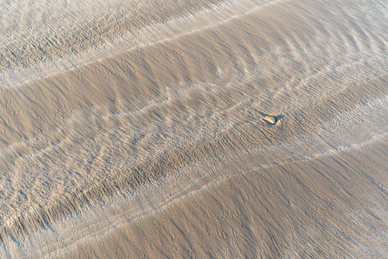 Sand Texture Background, Sandy Beach Pattern, Beige Ocean Dune ...