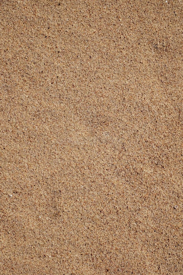 Sand texture on the beach stock photo. Image of texture - 242791408