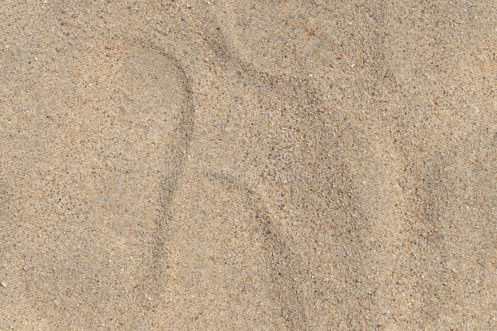 Sand Texture on a Beach Contaminated with Microplastics, Sand Texture ...