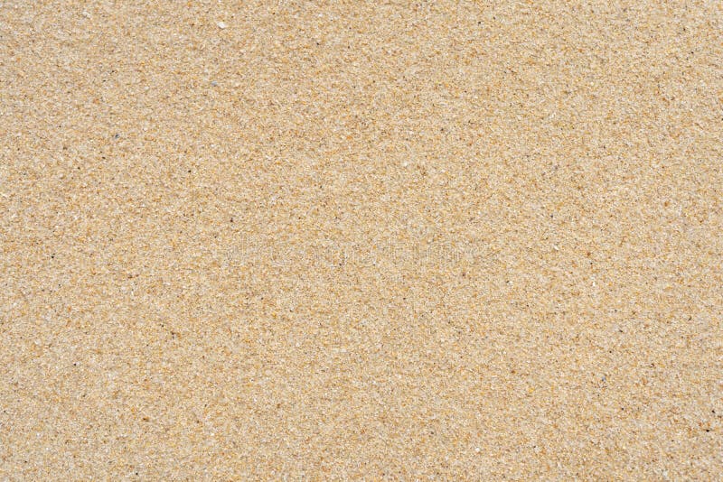 Sand Texture on the Beach. Crushed Shells Stock Photo - Image of nature ...