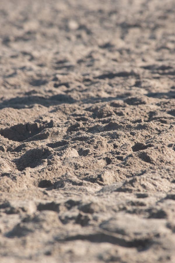 Sand texture on the beach stock photo. Image of sandy - 266189218