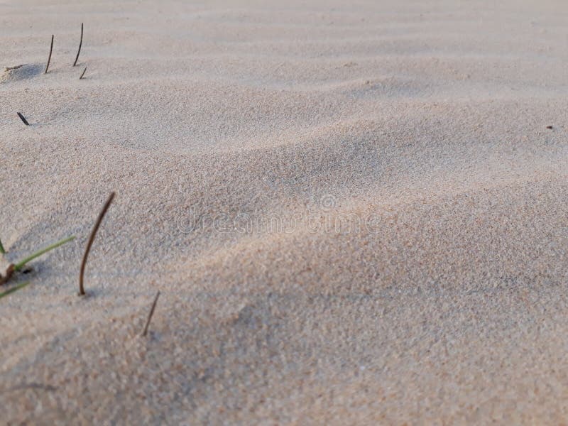 Sand Texture in the Beach. White Color Beach Sand Stock Photo - Image ...