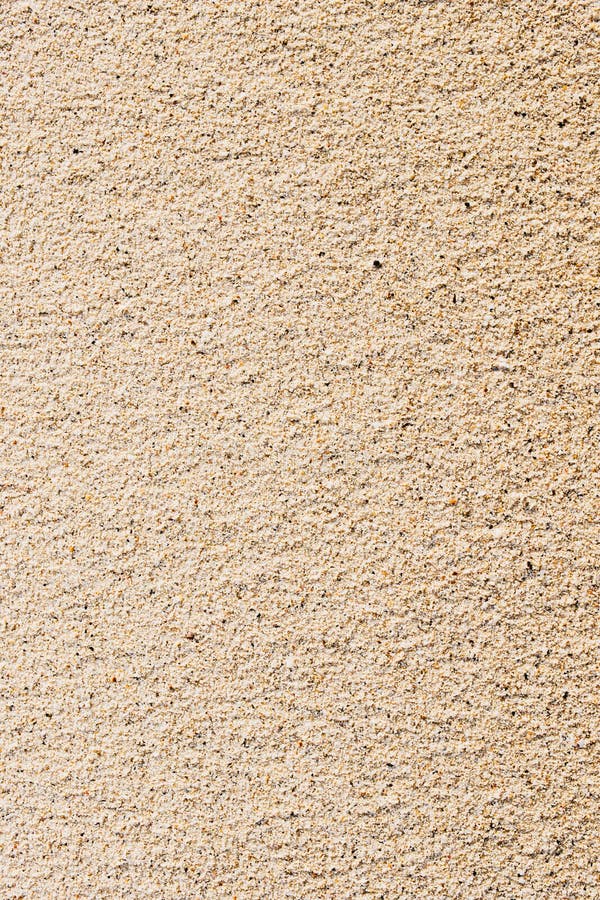 Sand Texture at Dawn in Thailand with Large Shells Stock Image - Image ...