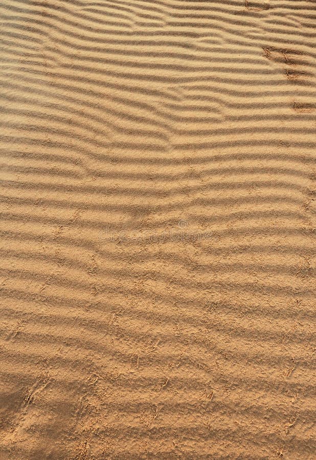 Sand Texture on a Desert Dune with Patterns in the Form of Waves ...