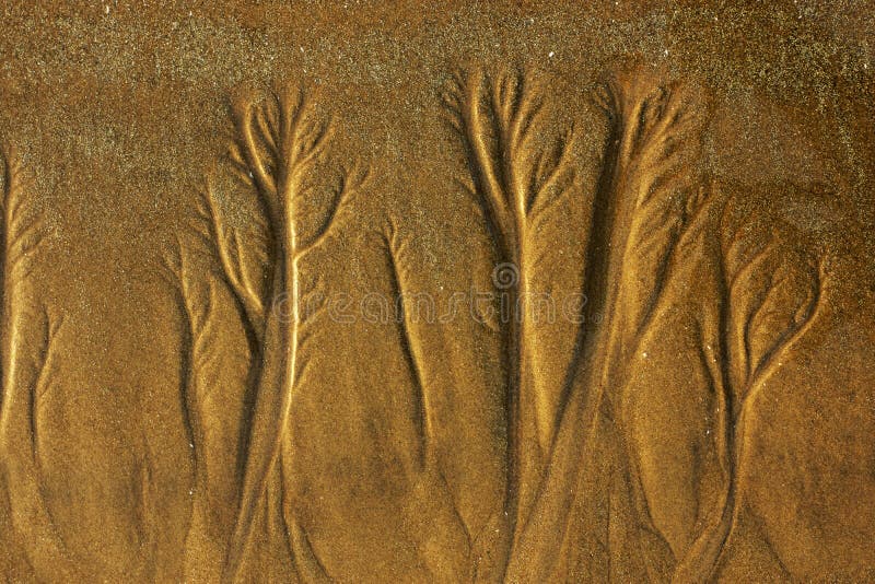 Sand Texture Design on Sea Beach for Background. Wave Pattern of Ocean ...