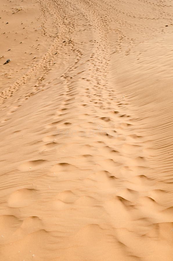 Sand texture stock photo. Image of africa, natural, texture - 48450684