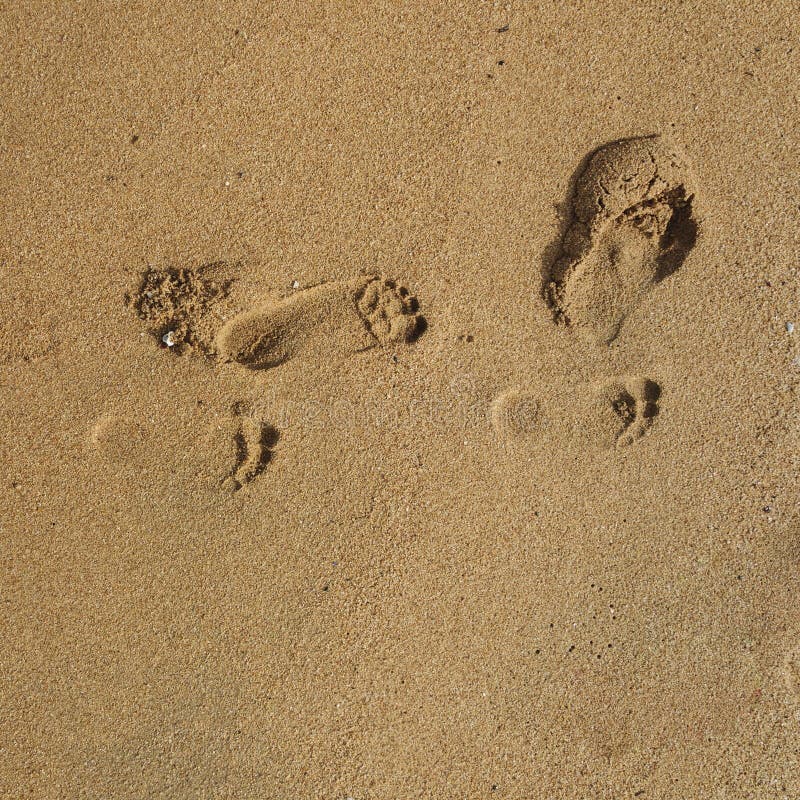 Sand Texture with Foot Steps Stock Photo - Image of footprints, relax ...