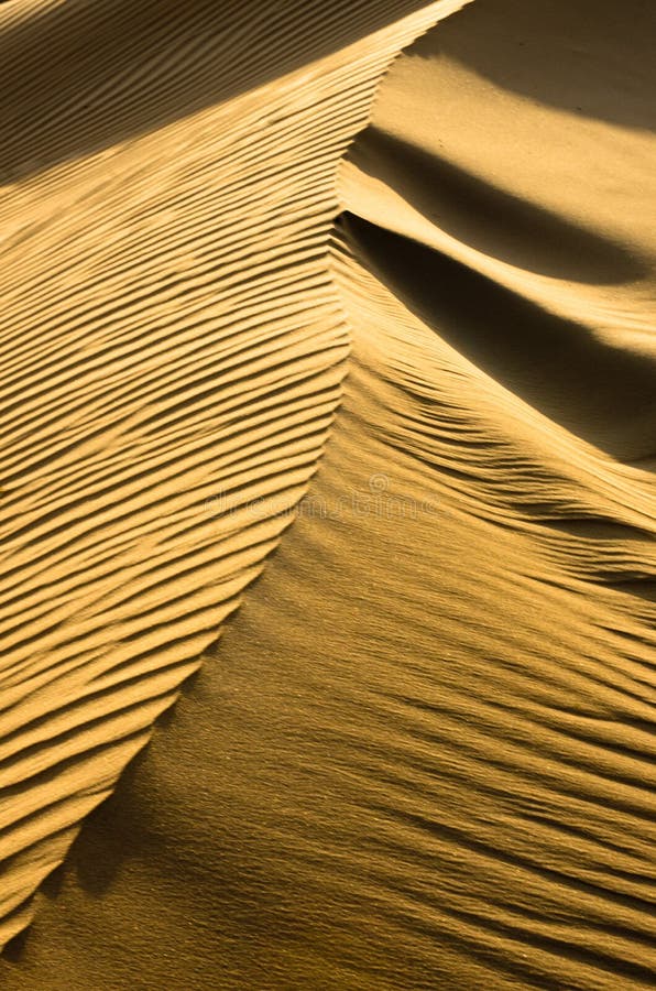 Sand desert stock photo. Image of desert, golden, grain - 268493254