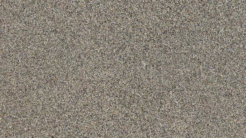 Sand Texture Loop. Summer Beach Background Stock Video - Video of ...