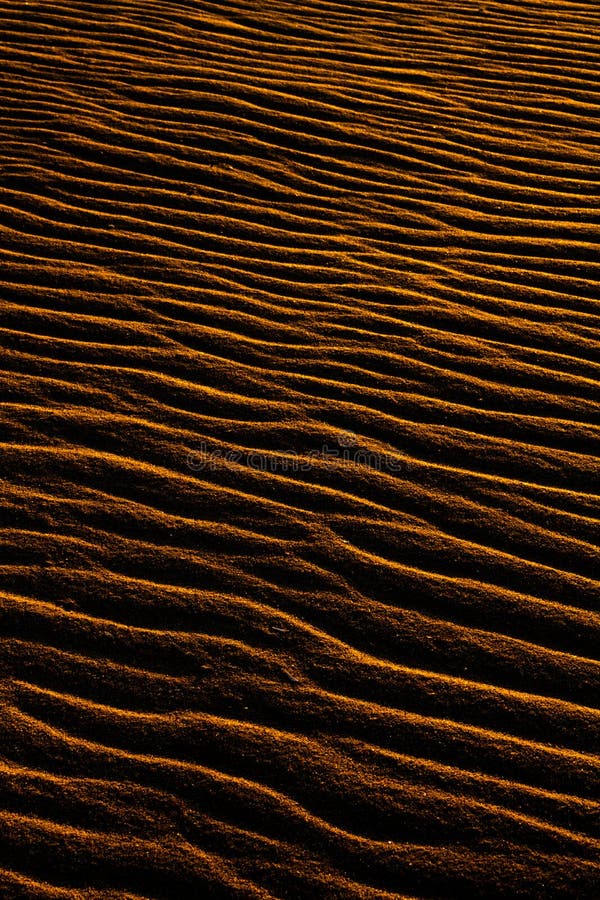 Sand Texture Outlined by the Wind. Wavy Shapes of Light and Shadow ...