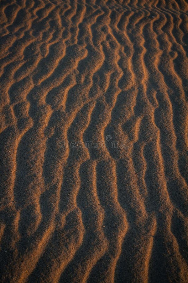 Sand Texture Outlined by the Wind. Wavy Shapes of Light and Shadow ...